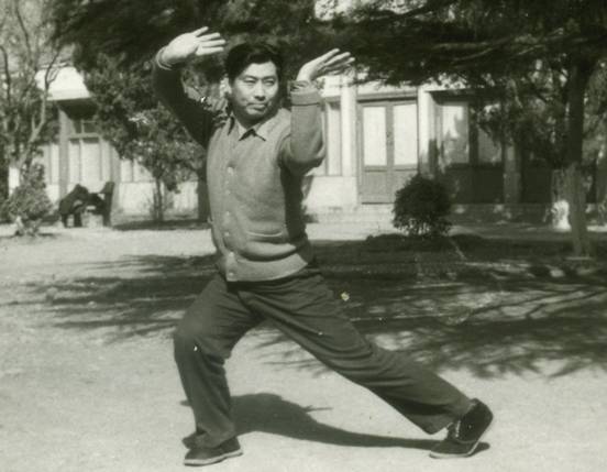 The first time I met Chen Zhao Kui (I) by Zhang Zhijun